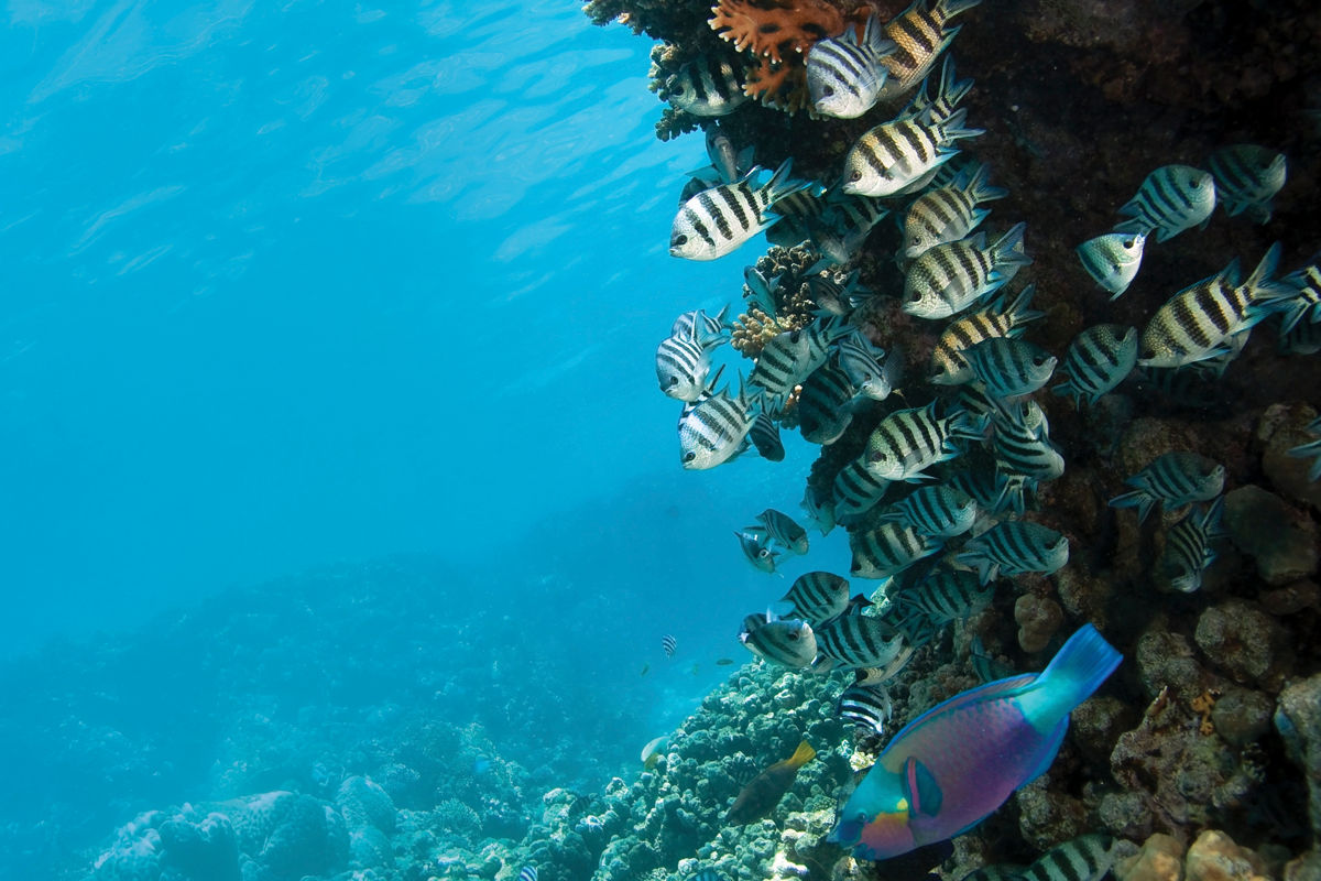 AAA Explorer Magazine | AAA Member Publications