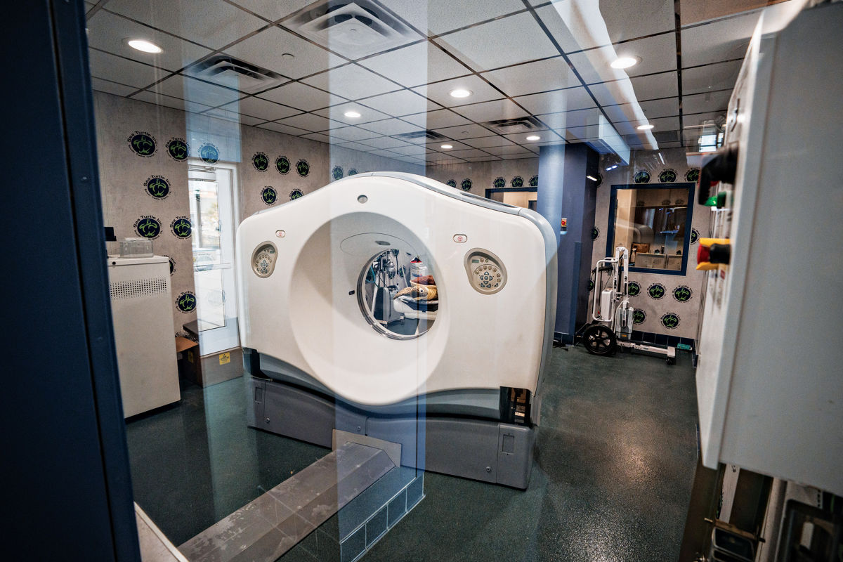 Protecting Sea Turtles on South Padre Island