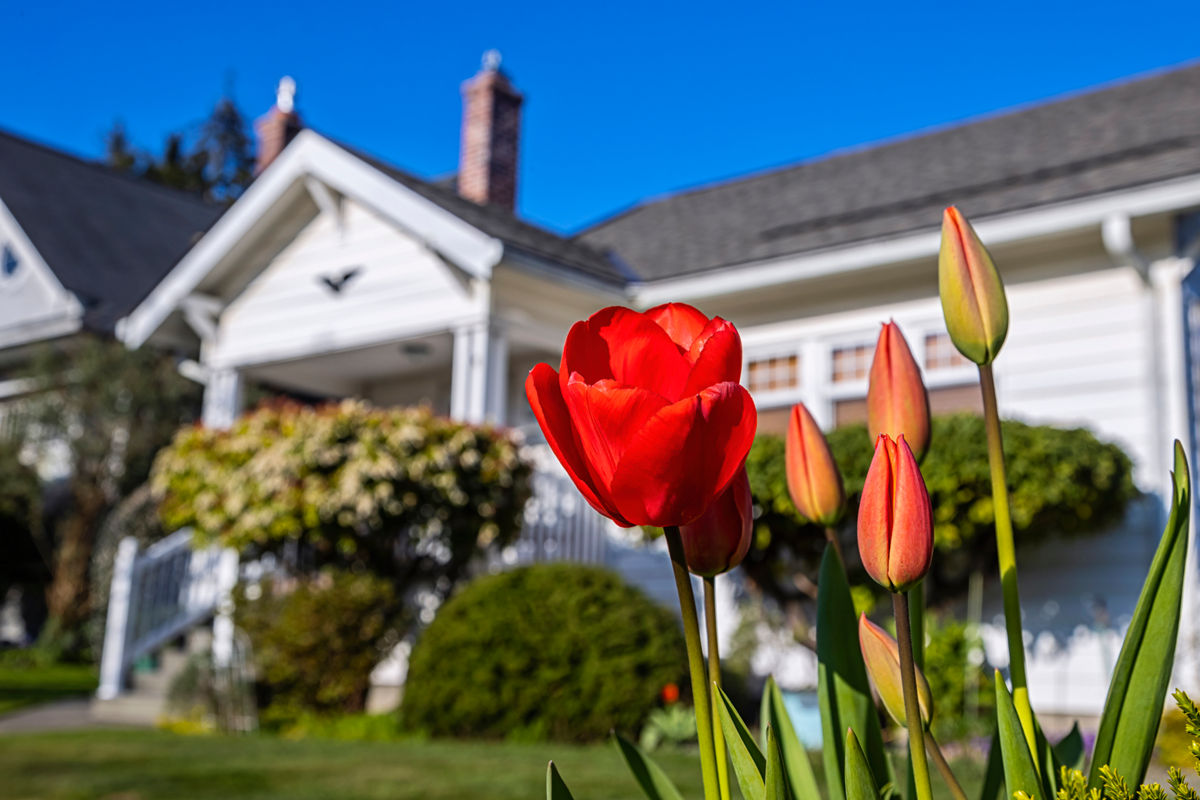 9 Ways to Prepare Your Home for Spring