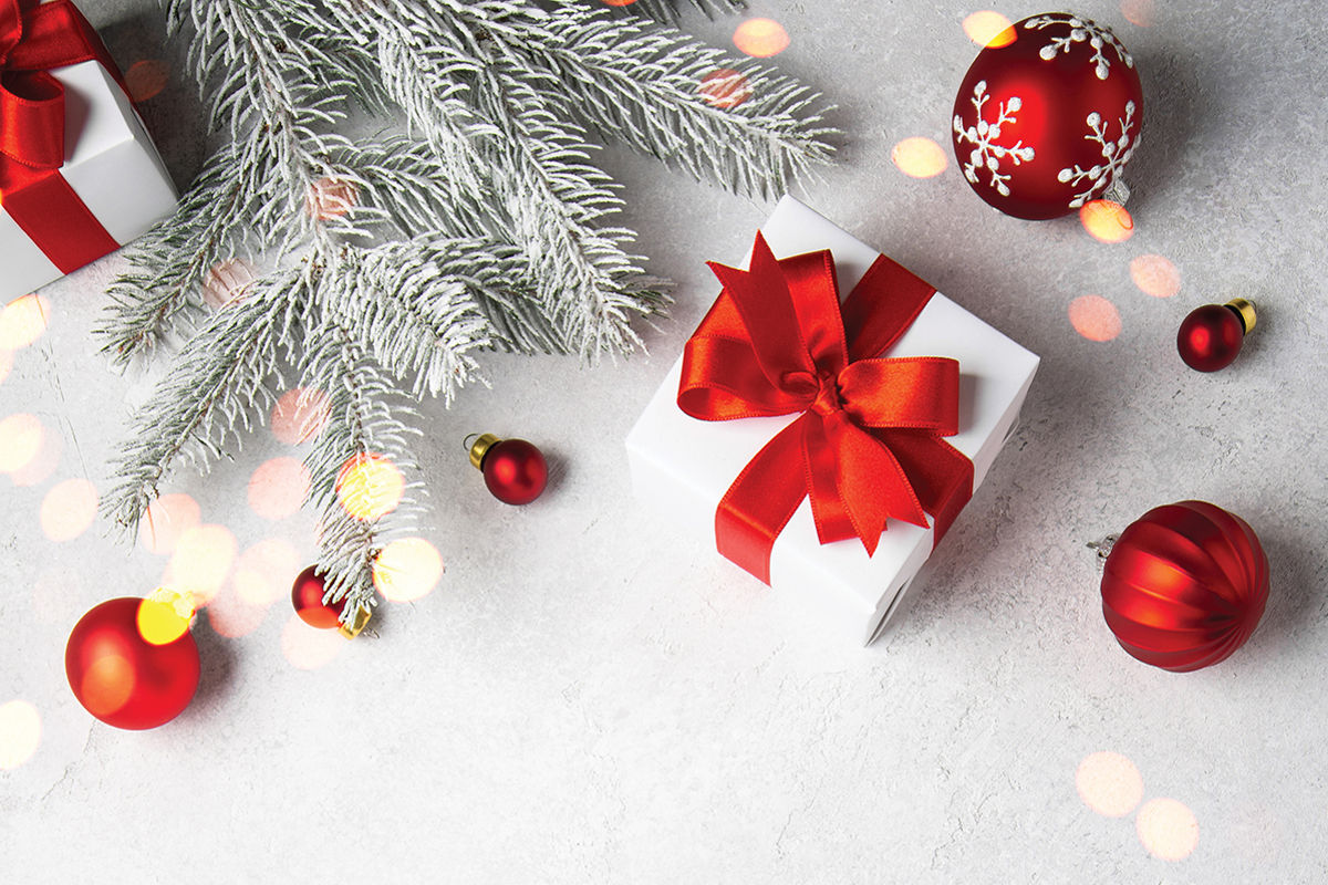 Holiday Gift Membership