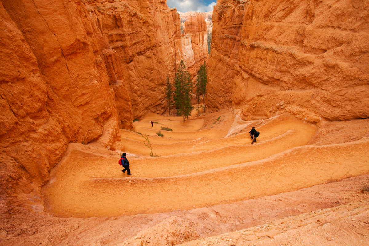 Utah’s Mighty 5 National Parks Compared: Which Ones Should You Visit?