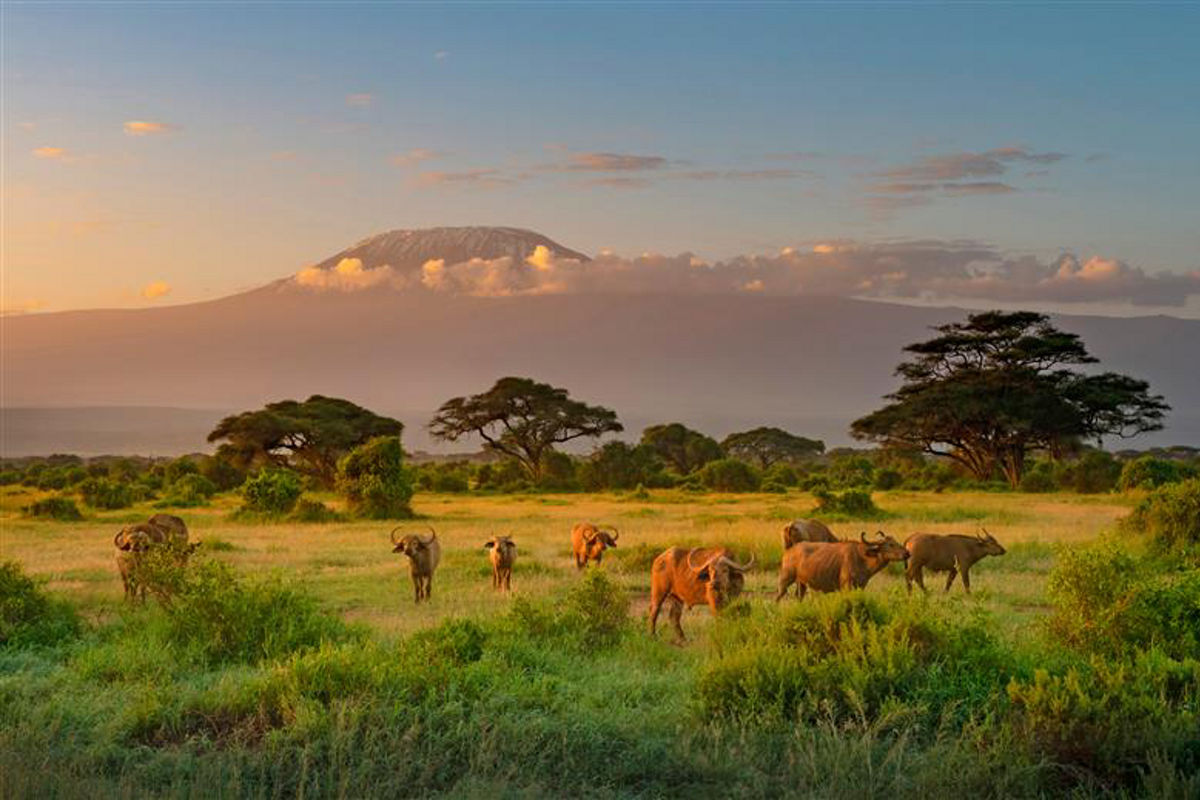Kenya Travel Guide - Best Places To Visit & Things To Do | AAA