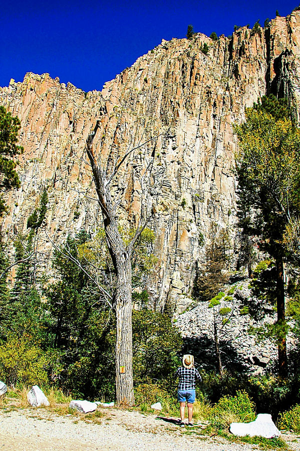 Fall Colors in Northern New Mexico