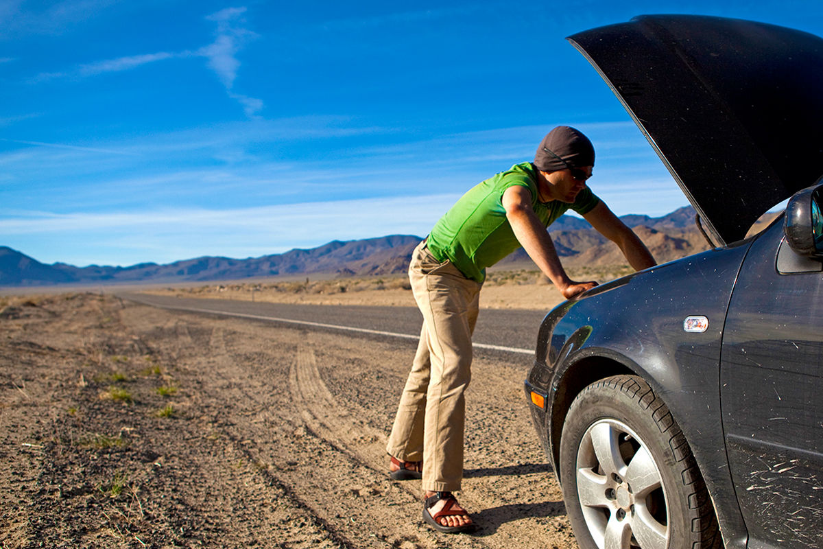 Give or Renew a AAA Gift Membership