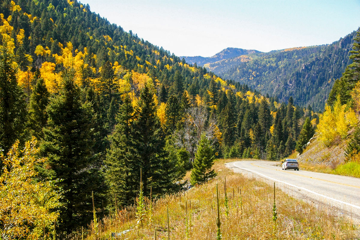 Fall Colors in Northern New Mexico