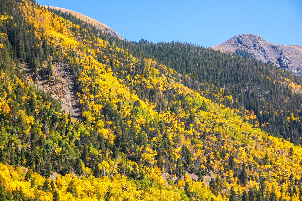 Fall Colors in Northern New Mexico