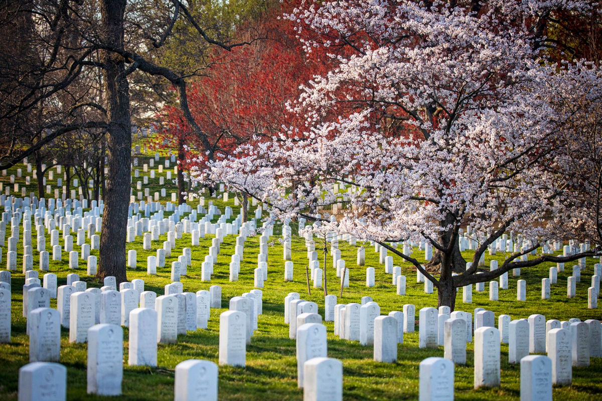 3 Days in Arlington, Virginia