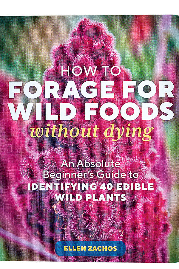 How to Forage for Wild Plants
