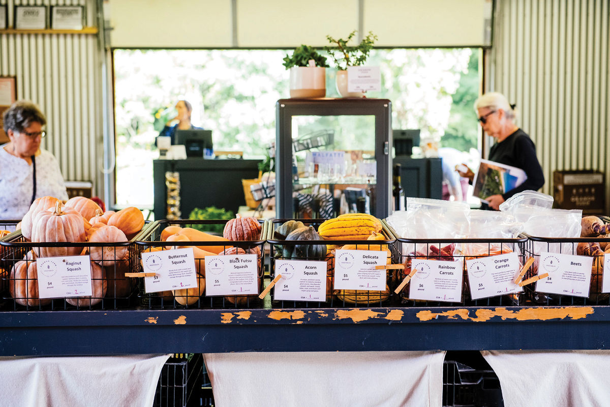 Michigan Lakefront Towns