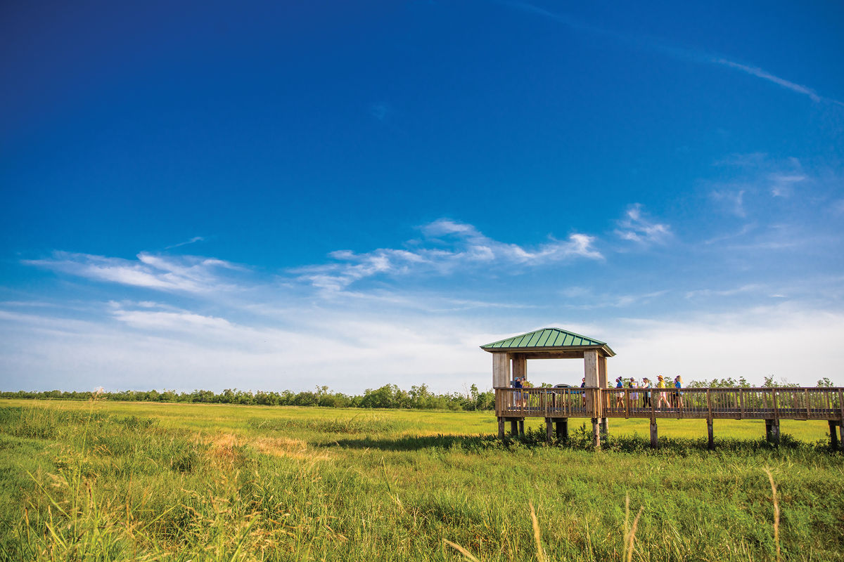 Creole Nature Trail