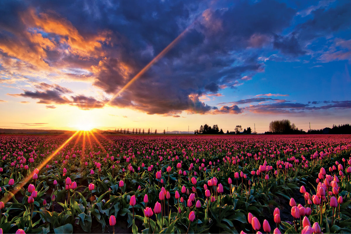 AAA Explorer Magazine | AAA Member Publications